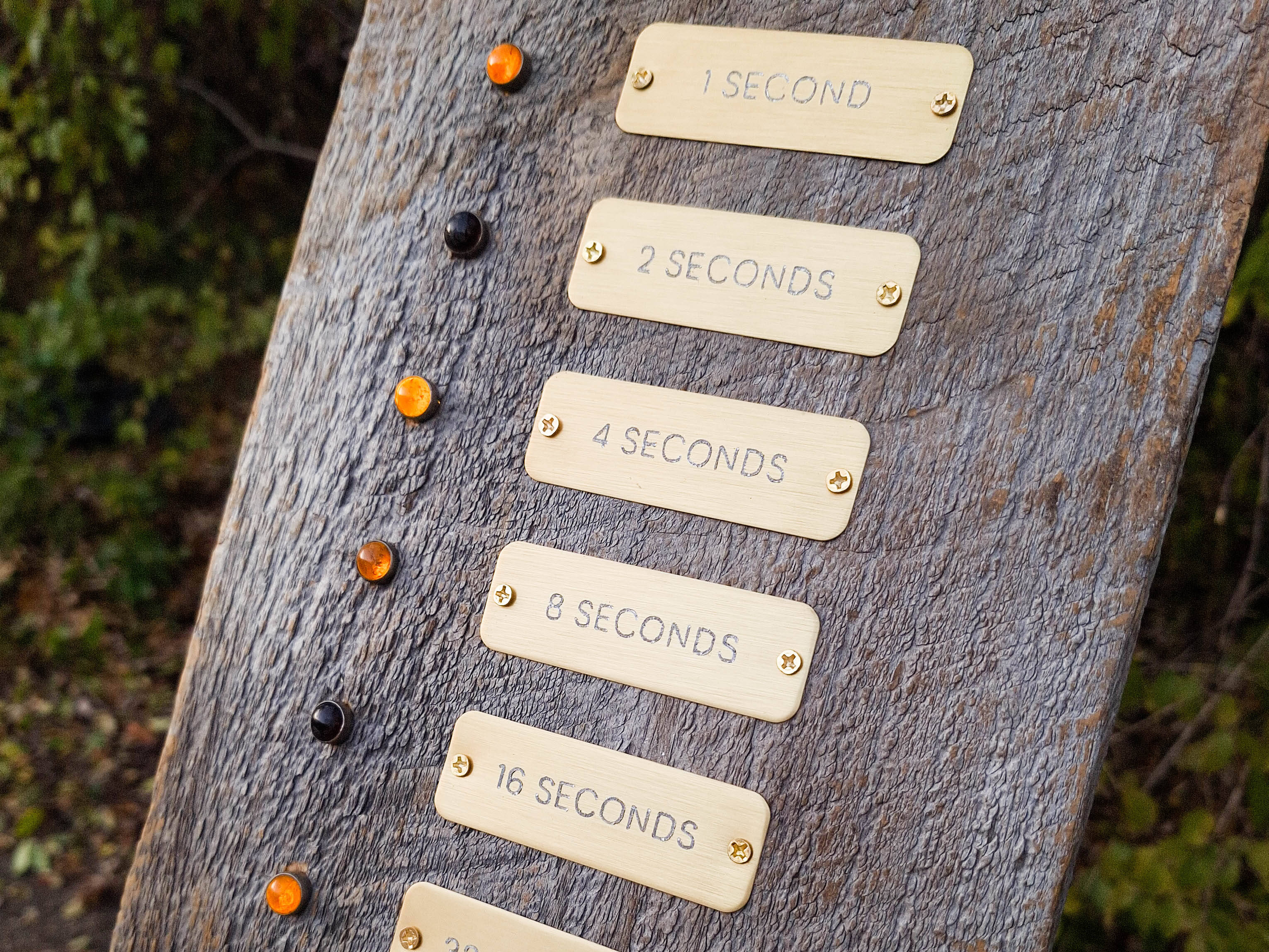 Chris Combs › Board/Bits