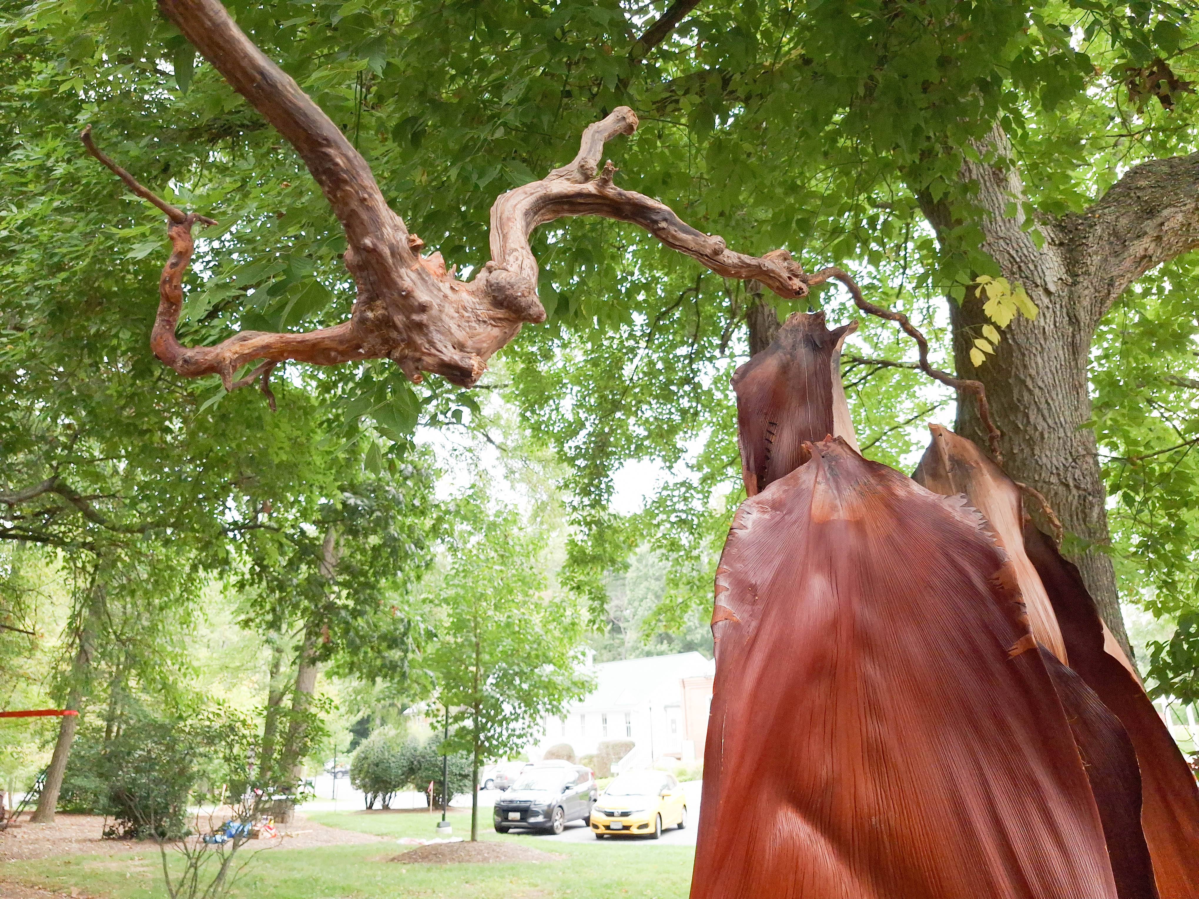 Chris Combs › Creature/Machine