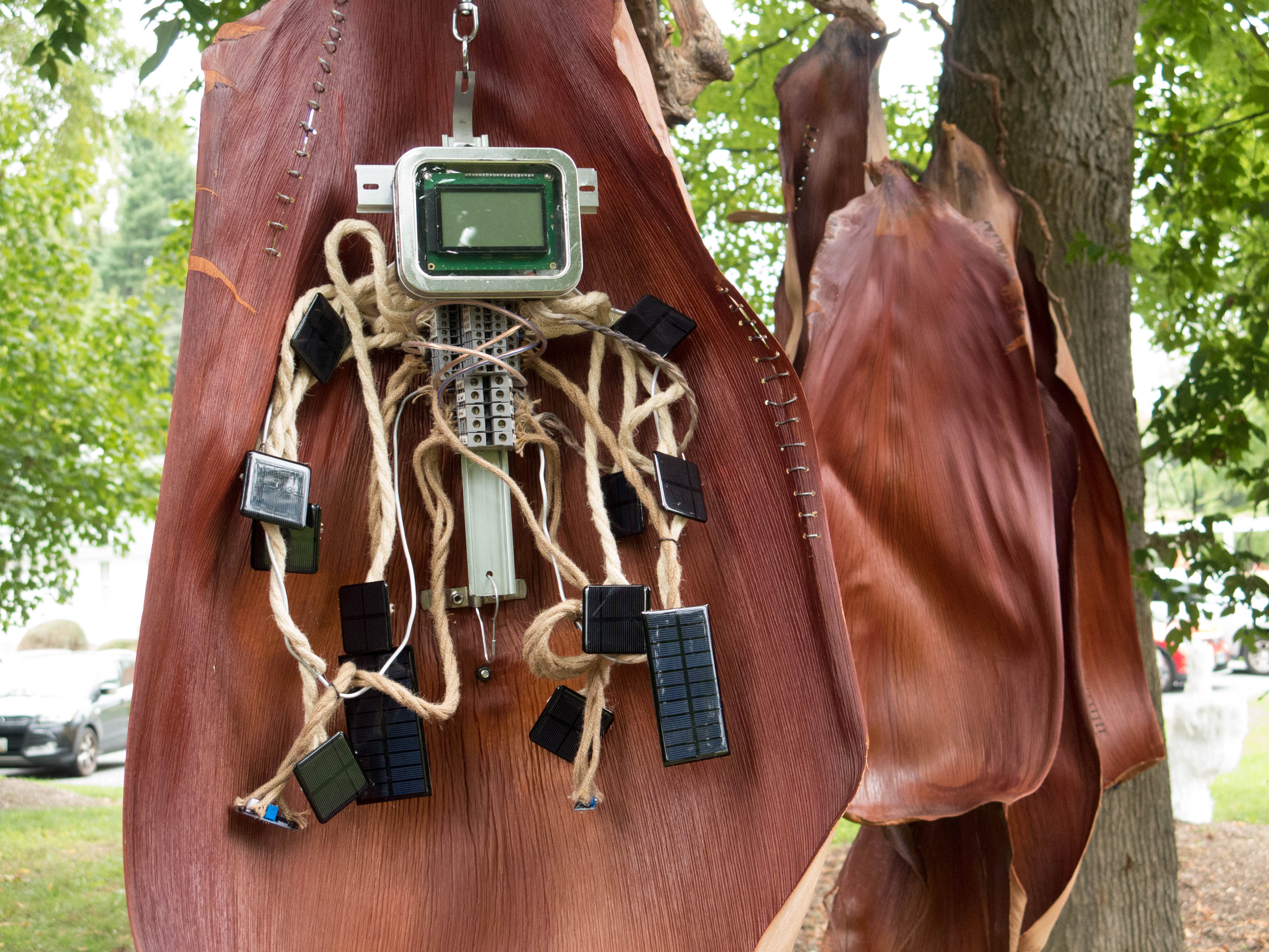 Chris Combs › Creature/Machine