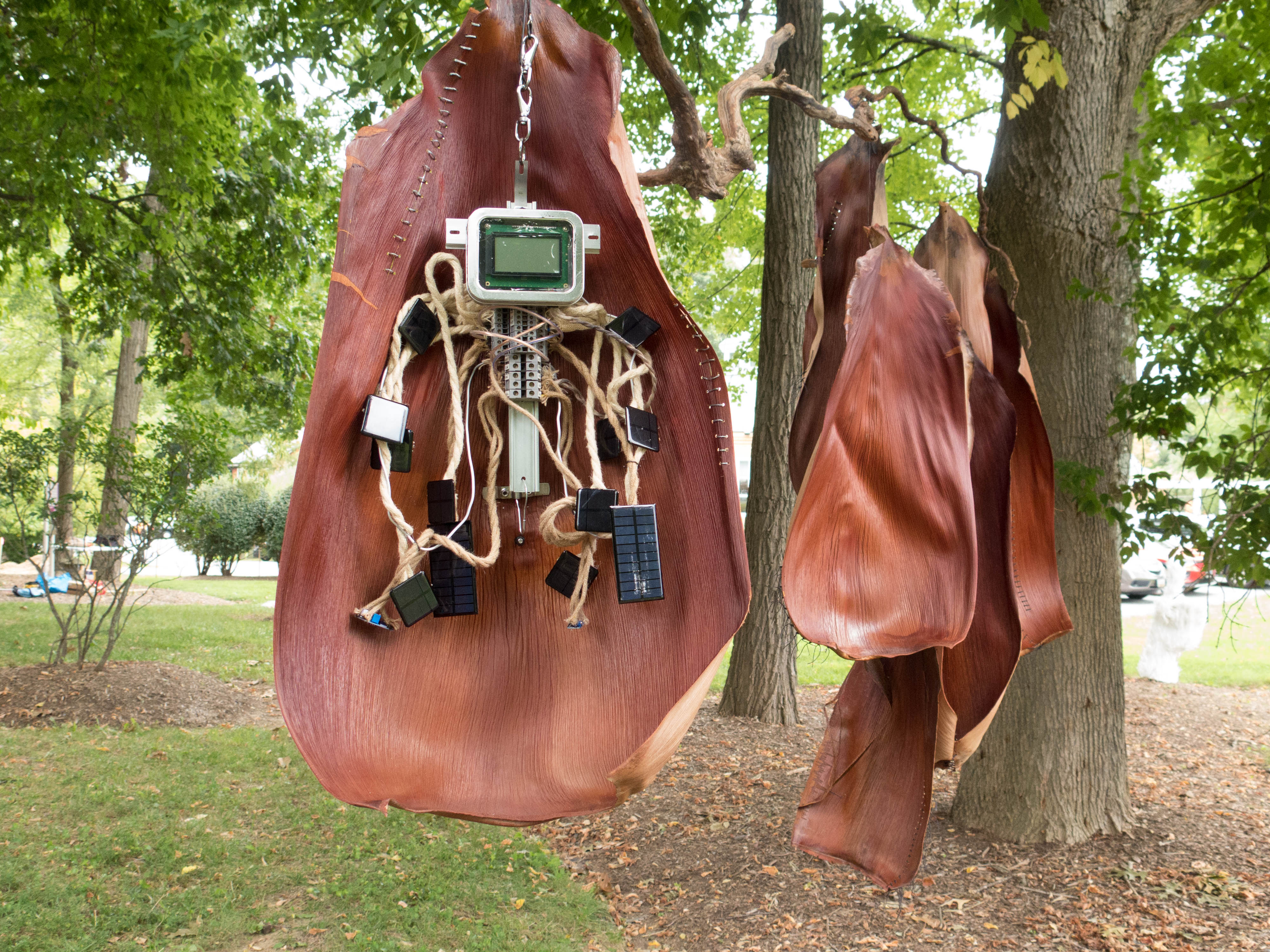 Chris Combs › Creature/Machine