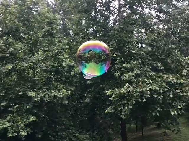 Chris Combs › Double Bubble