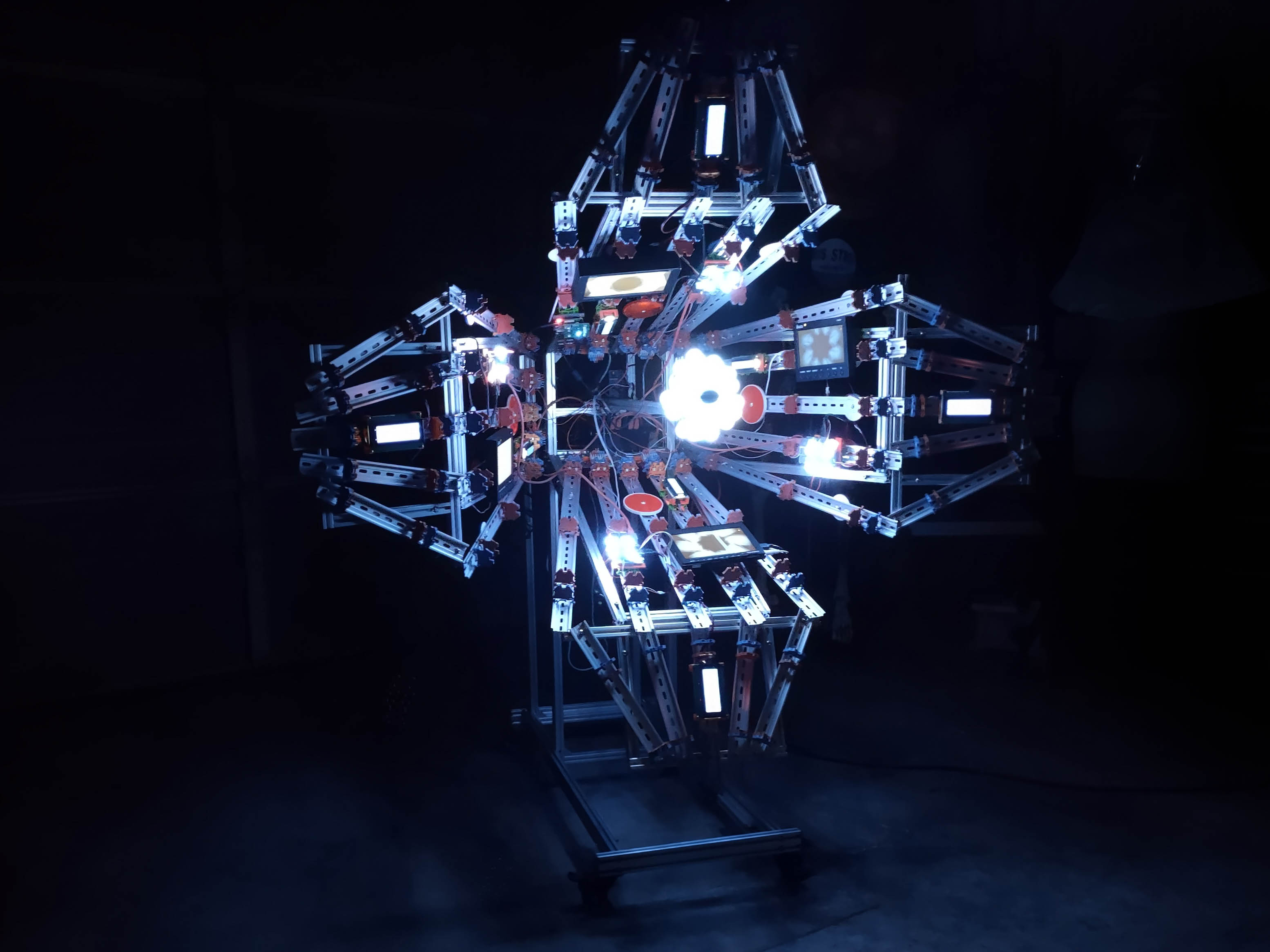 Chris Combs › Pollination