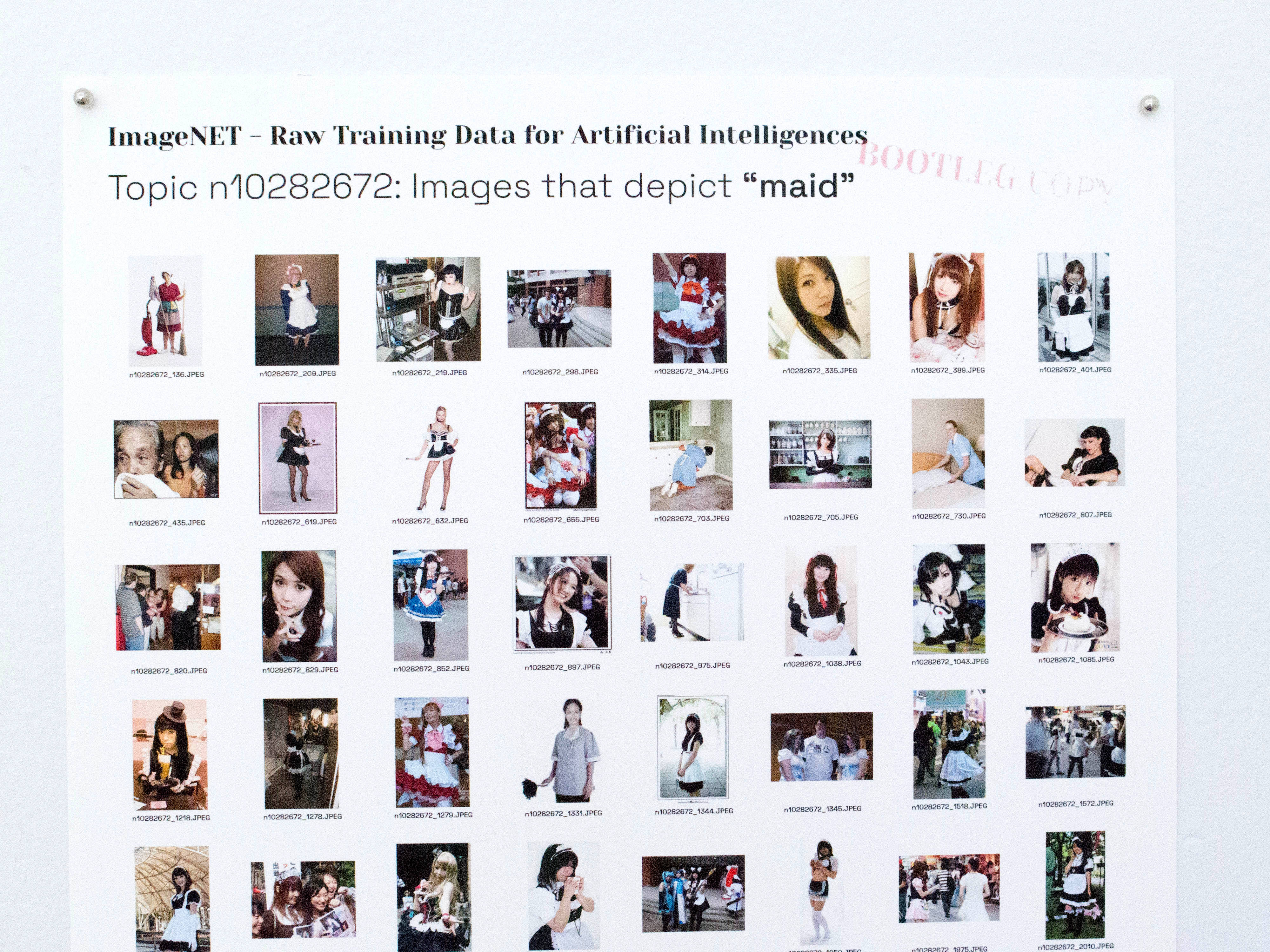 Imagenet AlexNet And ImageNet: The Birth Of Deep Learning | Pinecone